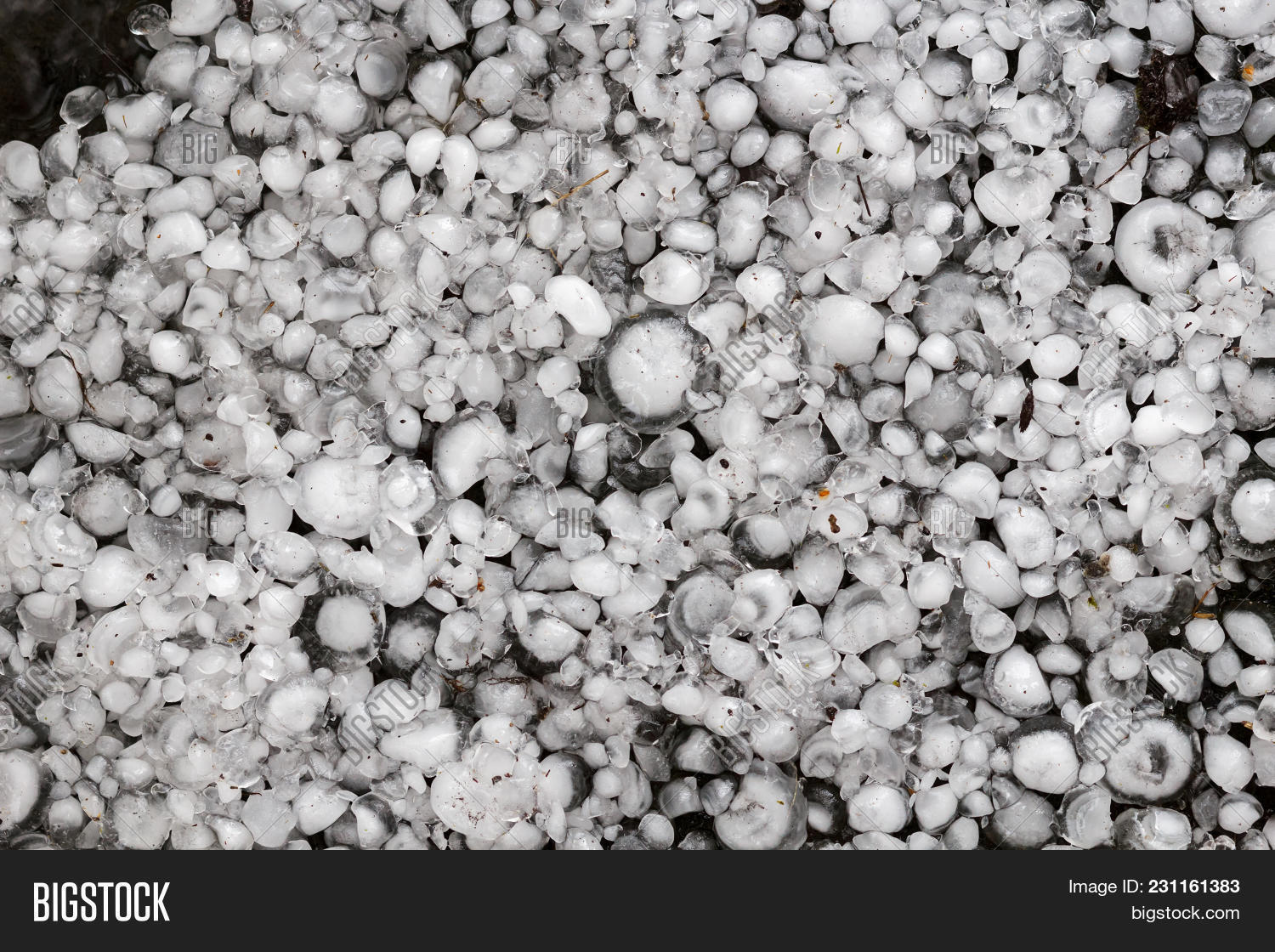 Hailstones On Ground Image & Photo (Free Trial) | Bigstock