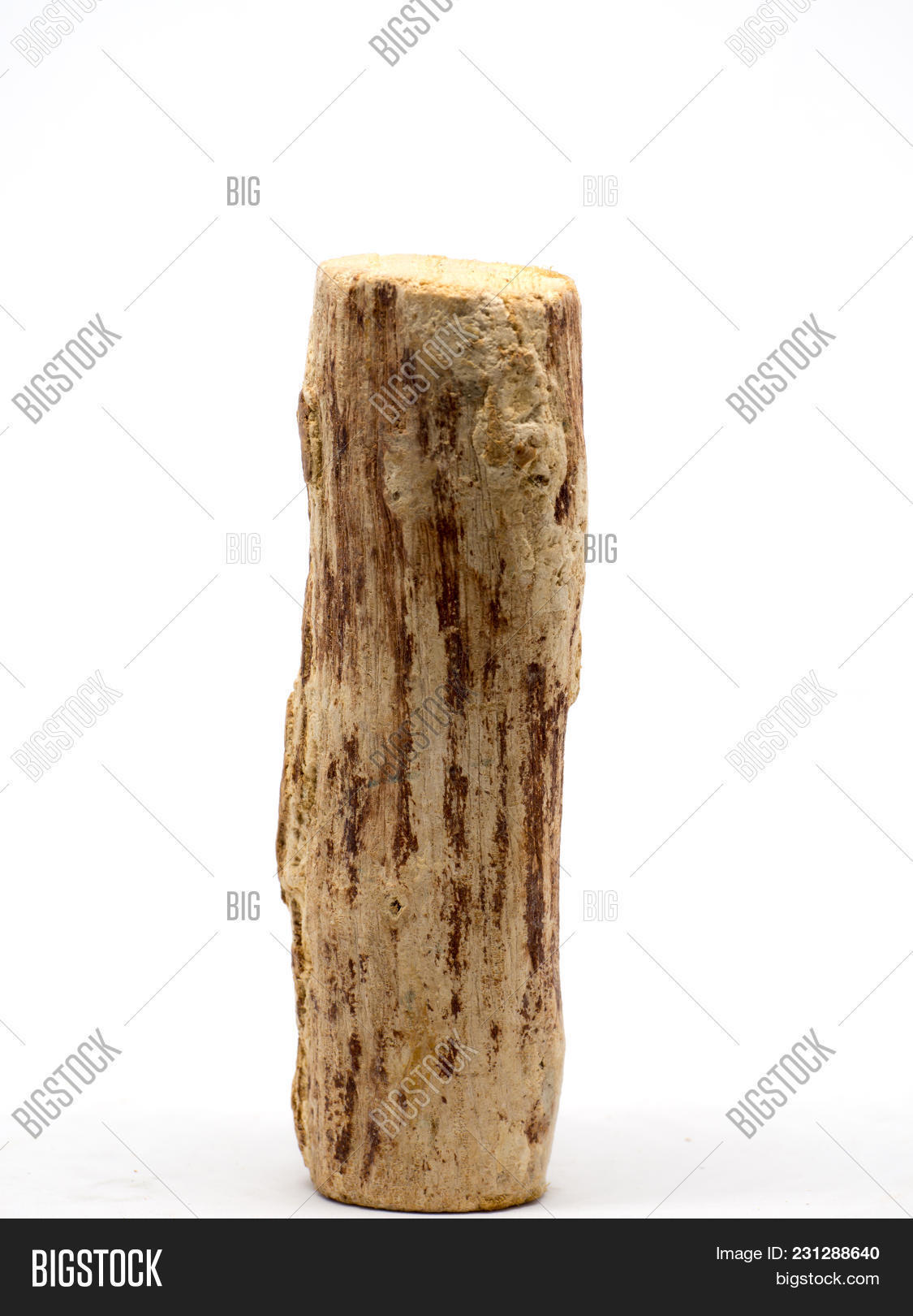 Thanaka Wood On White Image & Photo (Free Trial) | Bigstock