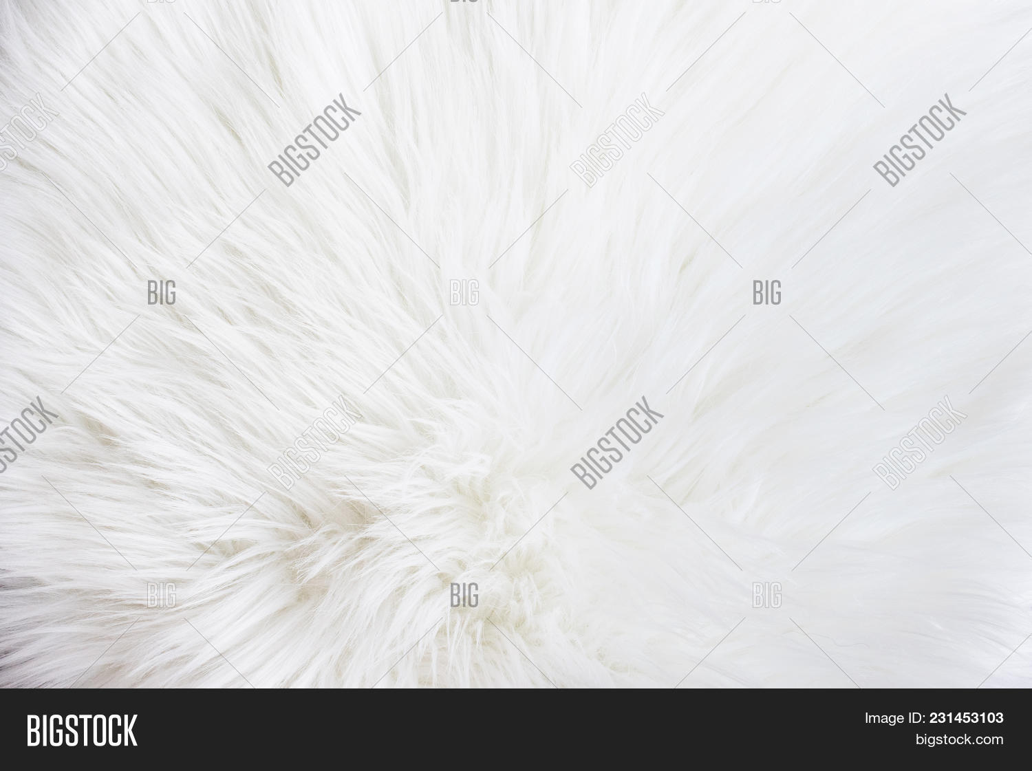 White Fur Texture Image & Photo (Free Trial) | Bigstock