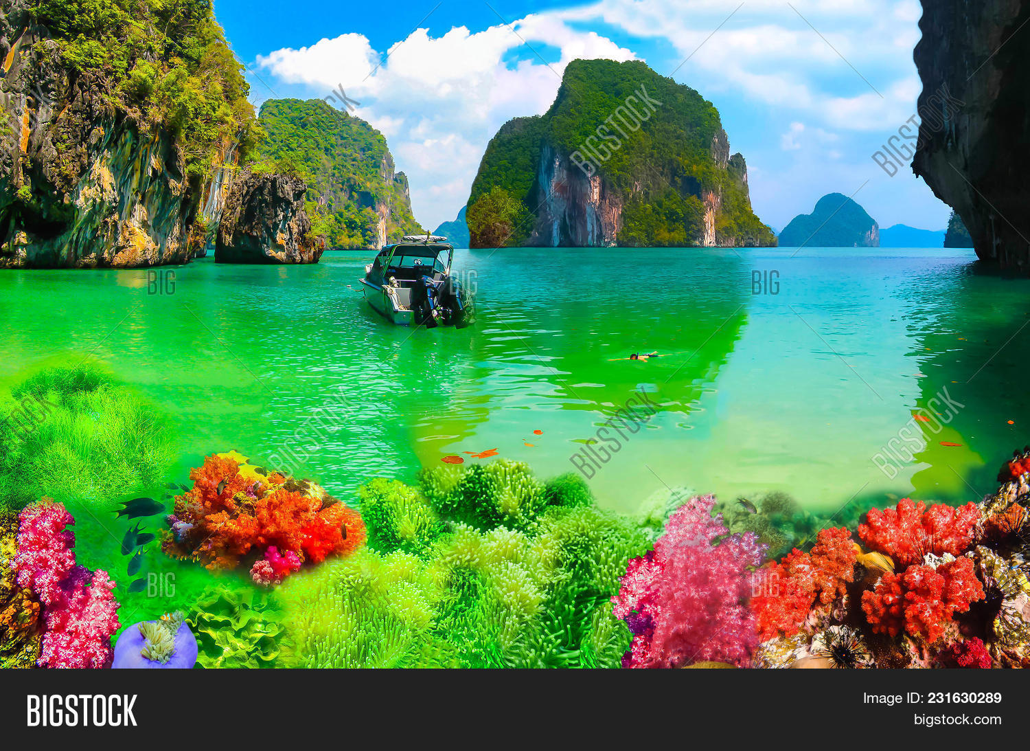 Collage Underwater Image & Photo (Free Trial) | Bigstock