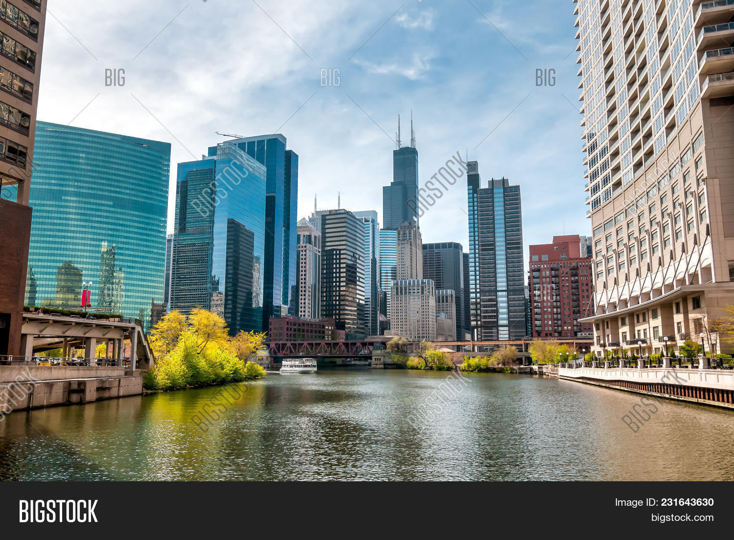 View Chicago Cityscape Image & Photo (Free Trial) | Bigstock