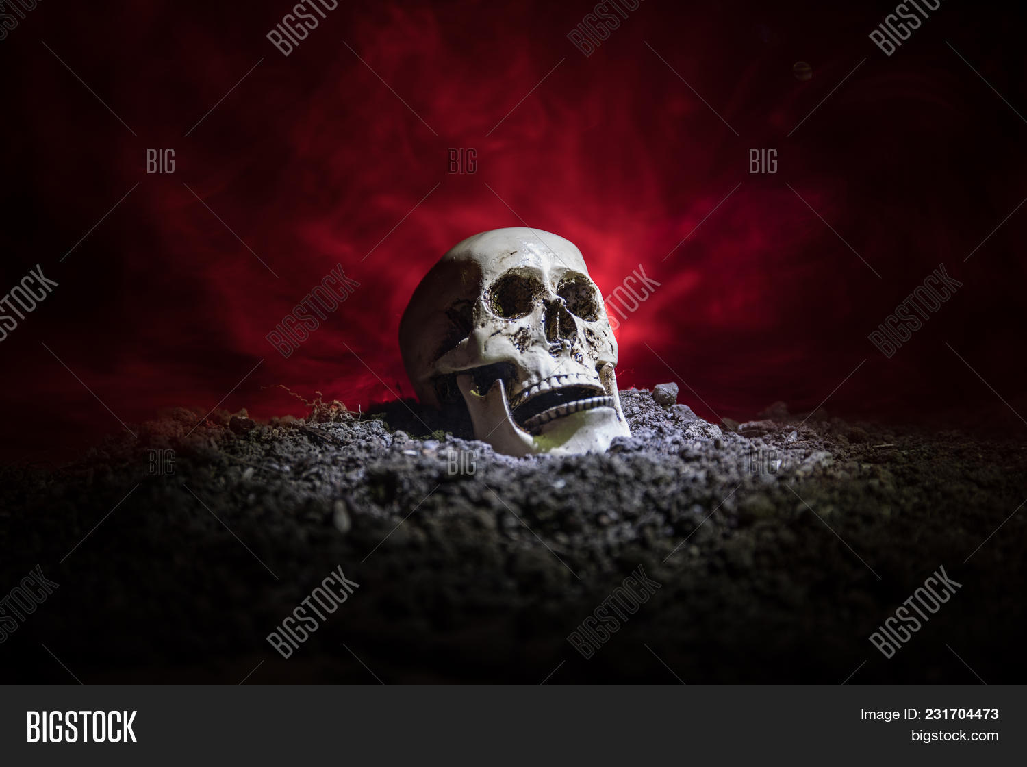 Human Skull Front View Mouth Open