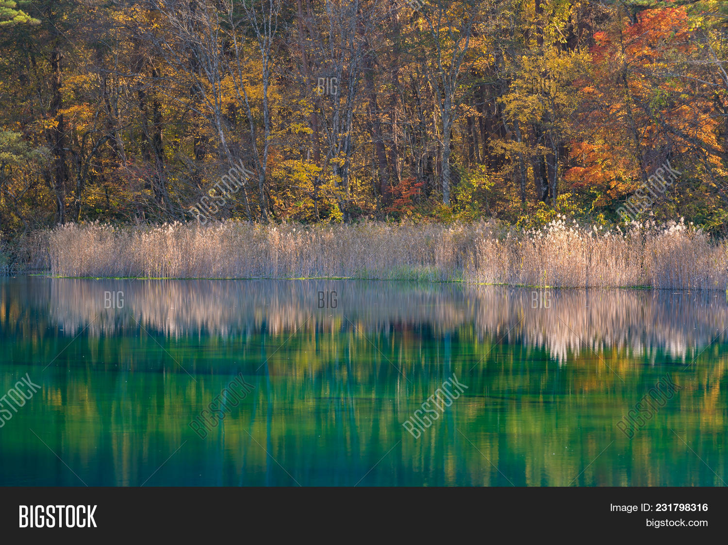 Goshiki-numa Five Image & Photo (Free Trial) | Bigstock