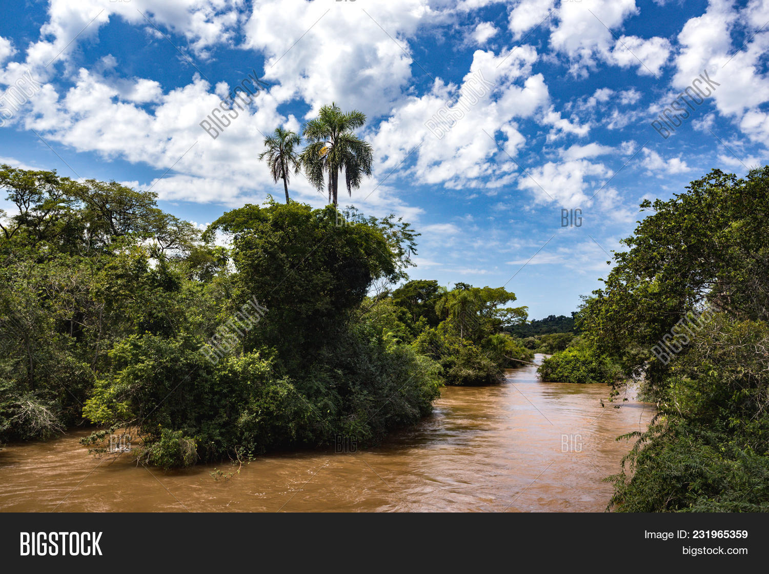 Brazilian Tropical Image & Photo (Free Trial) | Bigstock