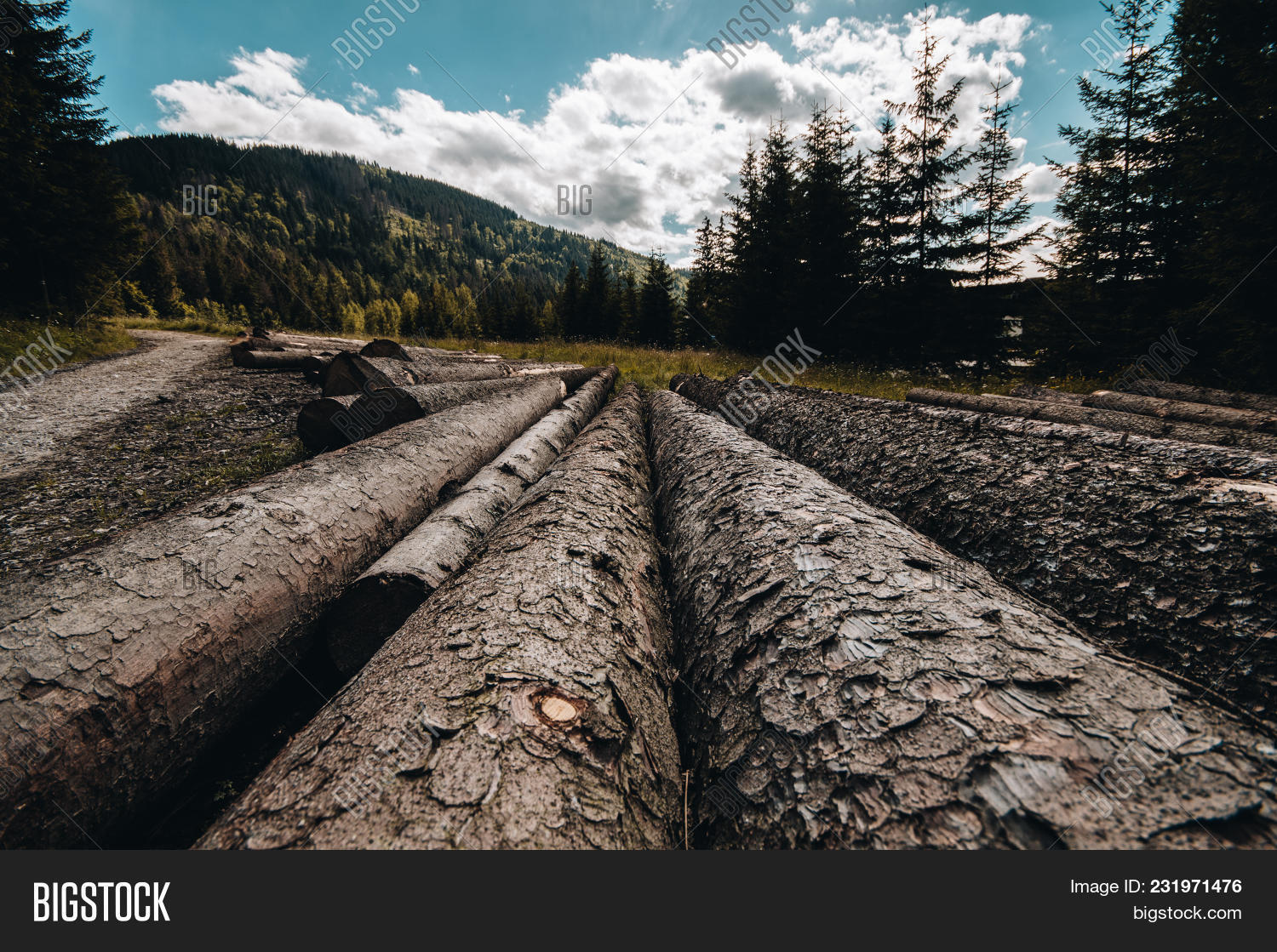 Wooden Logs Placed On Image & Photo (Free Trial) | Bigstock