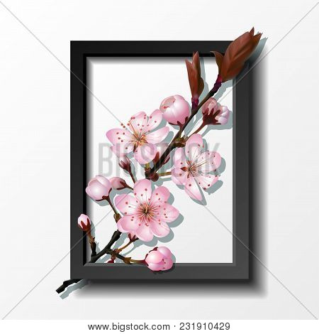 Branch Pink Sakura Vector & Photo (Free Trial) | Bigstock