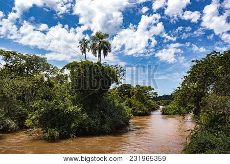 Brazilian Tropical Image & Photo (Free Trial) | Bigstock