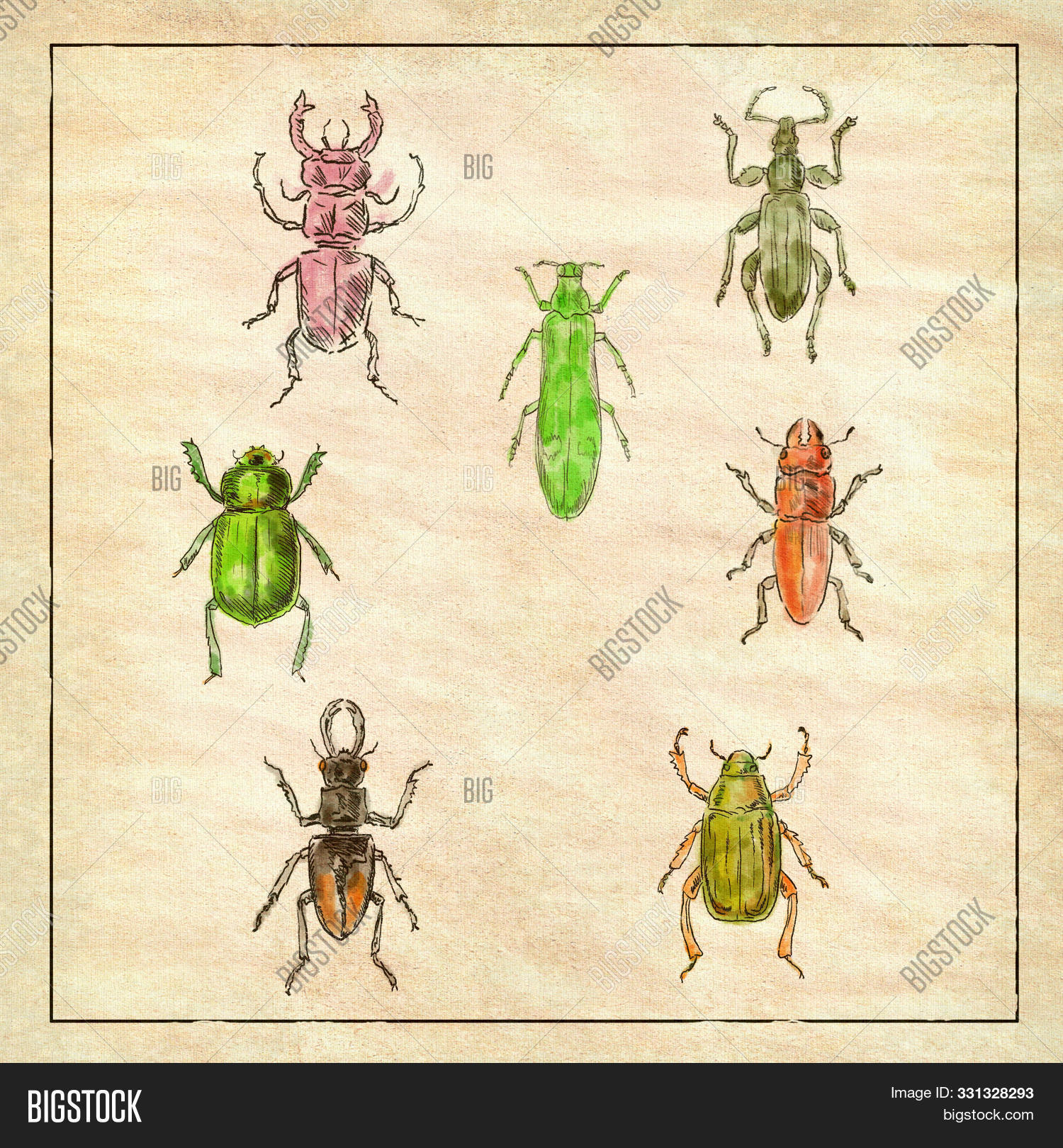 Vintage Victorian Image & Photo (Free Trial) | Bigstock