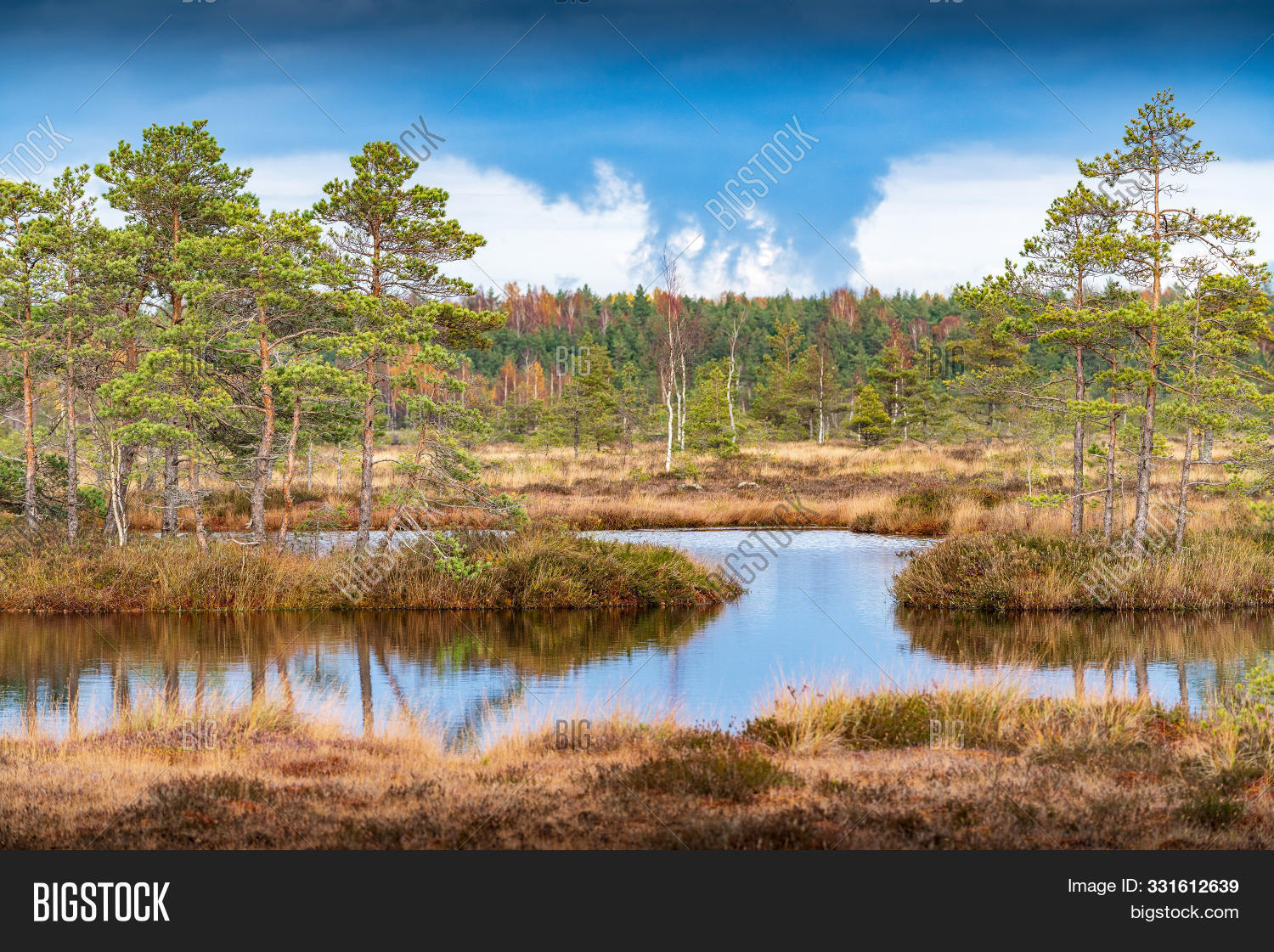 Sunrise Bog. Icy Cold Image & Photo (Free Trial) | Bigstock