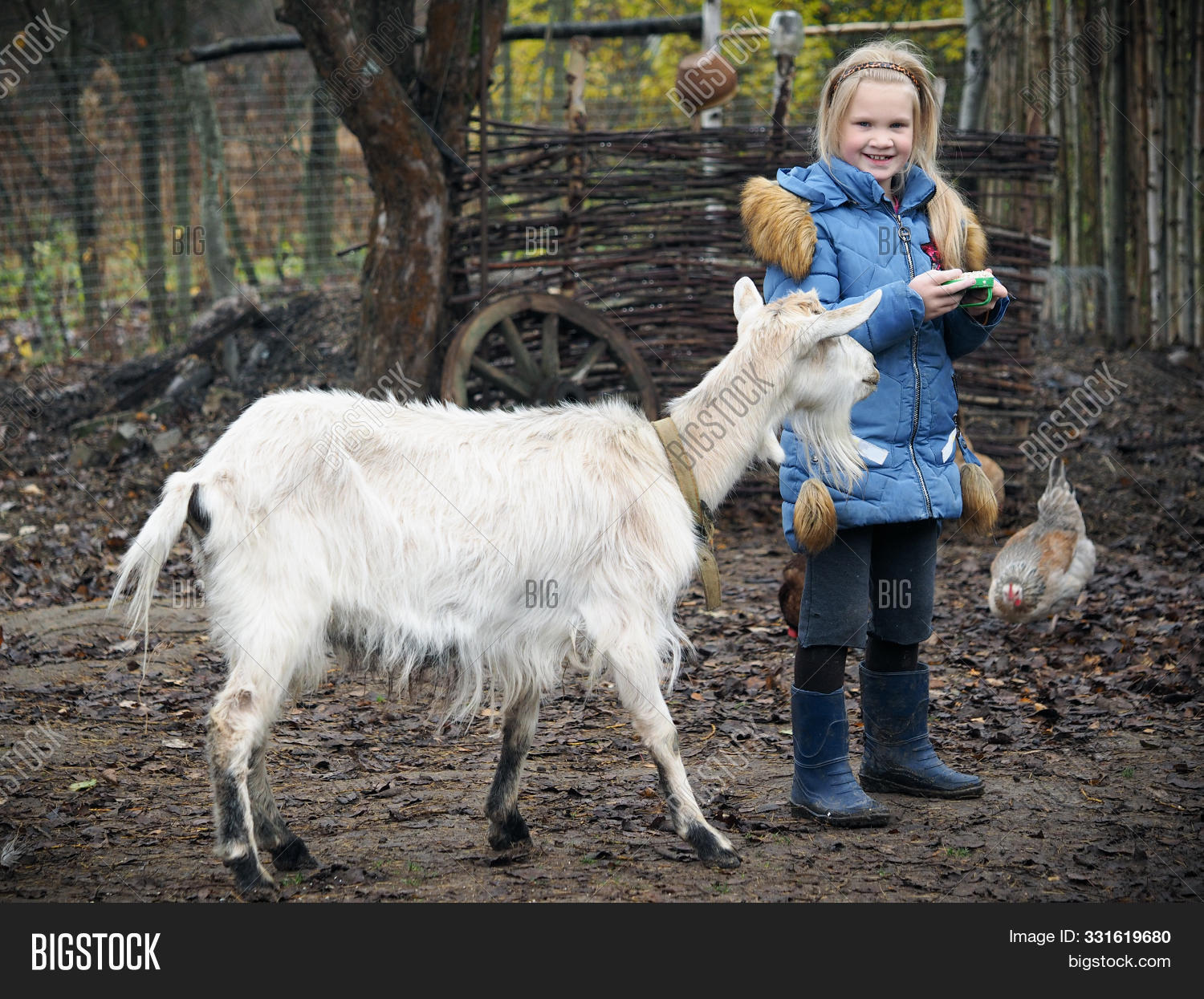 Girl Feeds Goat. Way Image & Photo (Free Trial) | Bigstock