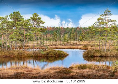 Sunrise Bog. Icy Cold Image & Photo (Free Trial) | Bigstock