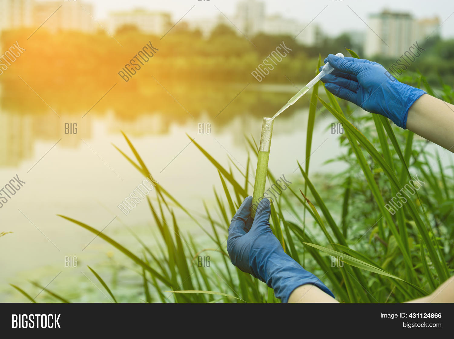 Sampling Open Water. Image & Photo (Free Trial) | Bigstock