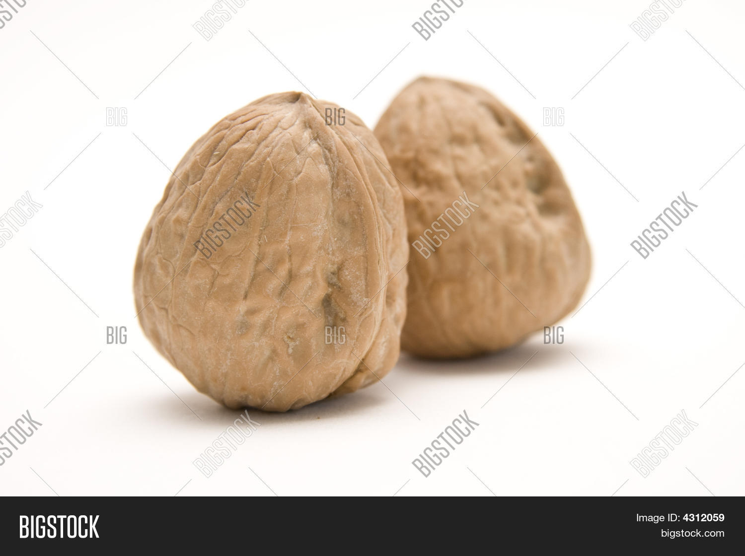 Two Walnuts Image & Photo (Free Trial) | Bigstock