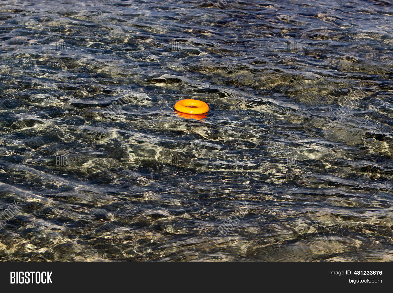 Color Seawater Shallow Image & Photo (Free Trial) | Bigstock
