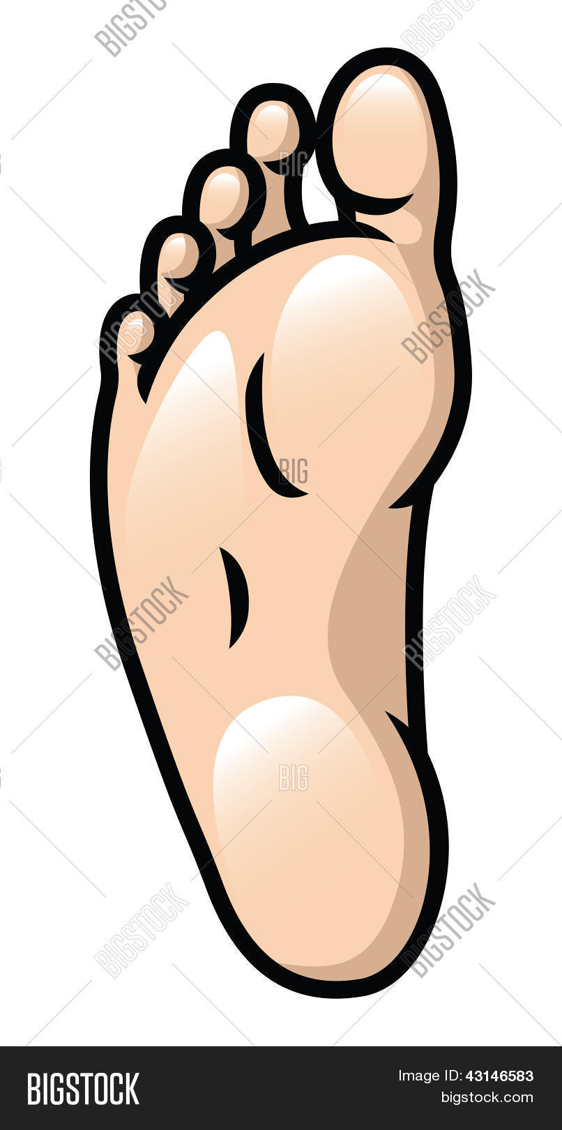 Foot Sole Vector & Photo (Free Trial) | Bigstock