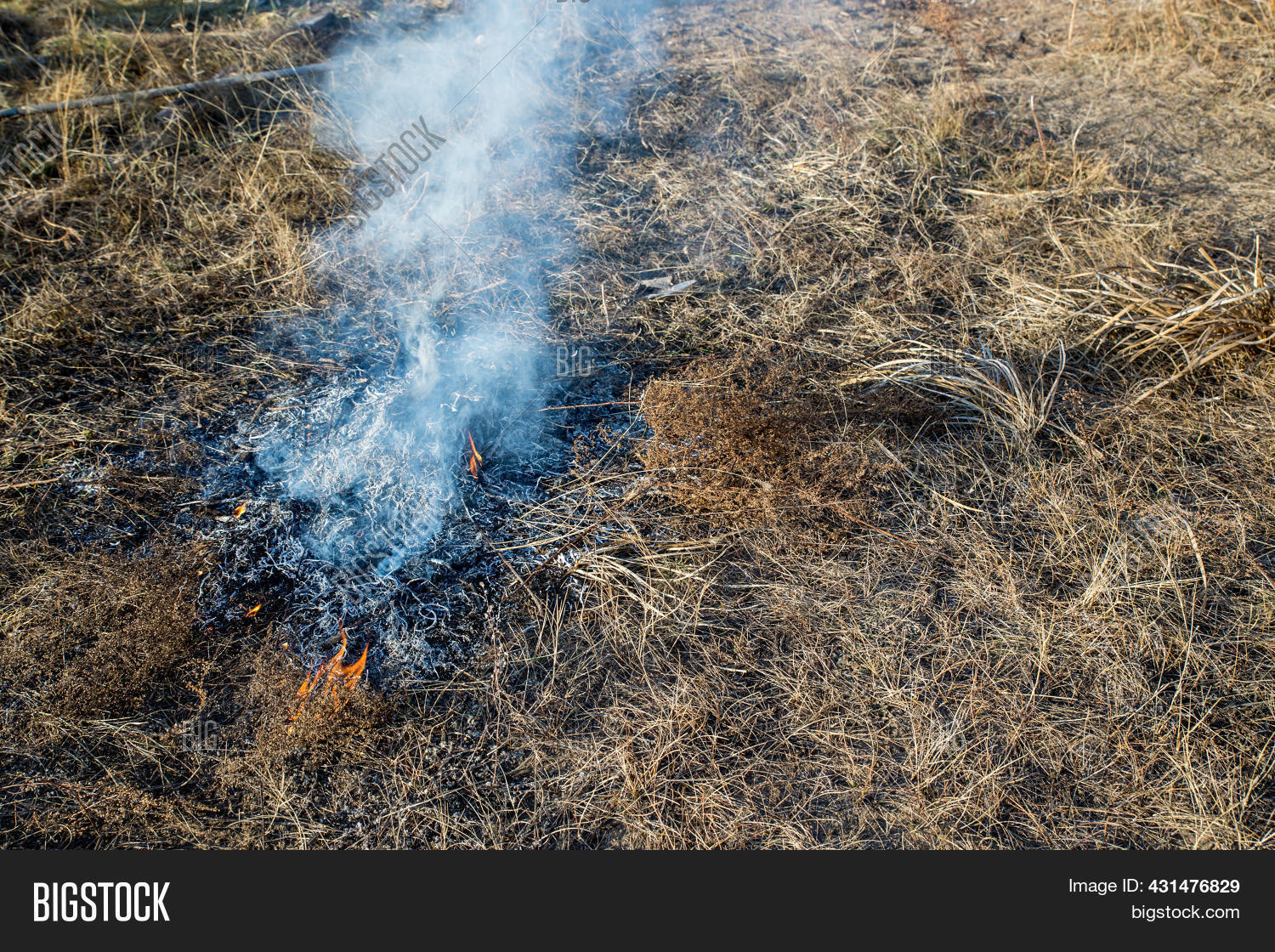 Grass Burning Field. Image & Photo (Free Trial) | Bigstock