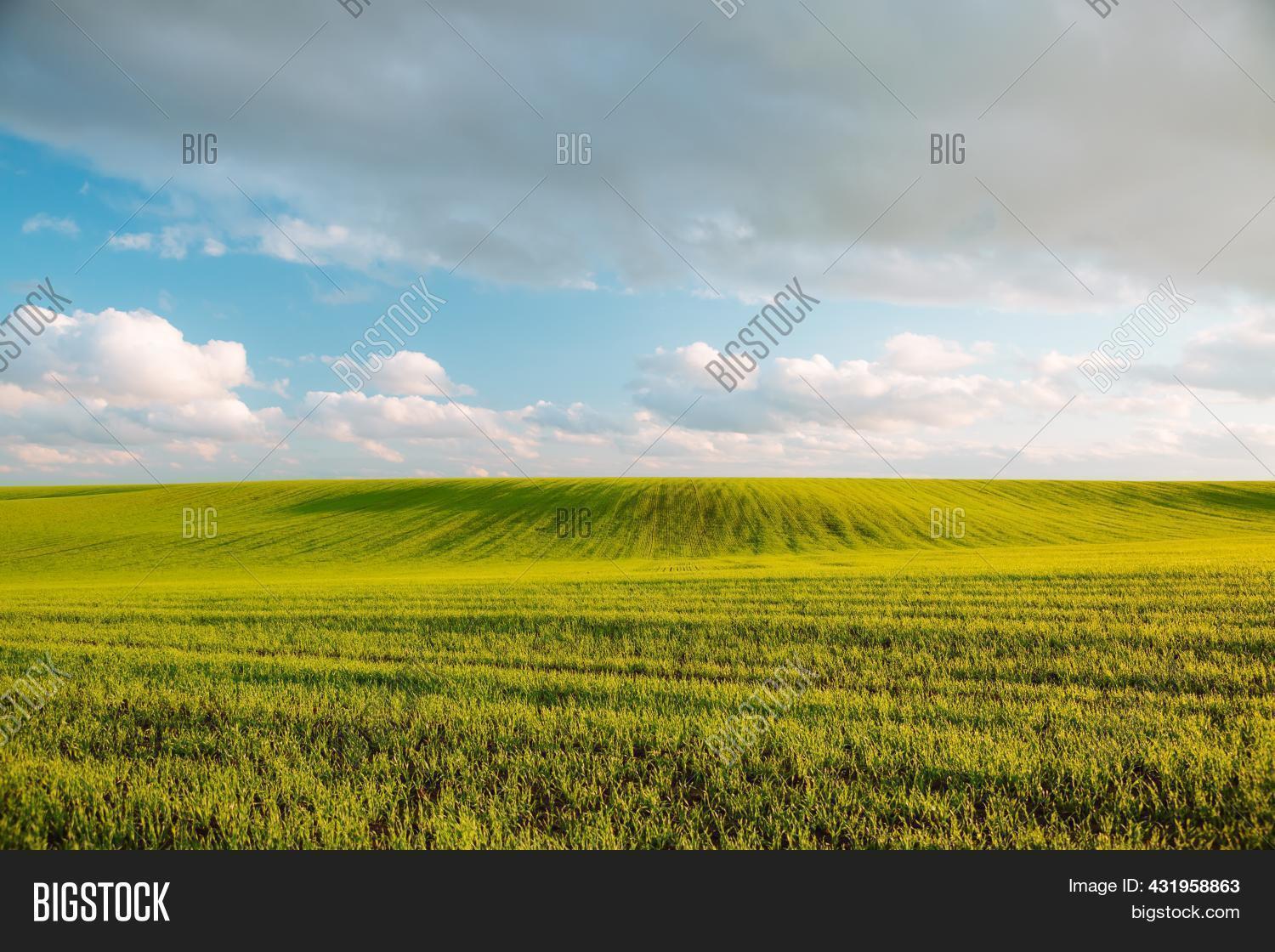 Perfect View Green Image & Photo (Free Trial) | Bigstock