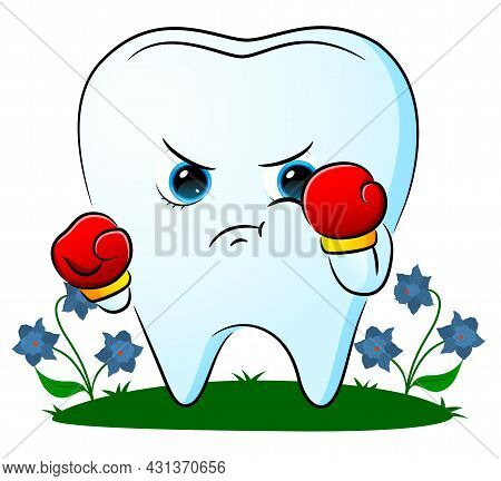 Boxing Tooth Using Vector & Photo (Free Trial) | Bigstock