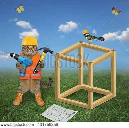 Beige Cat Carpenter Image & Photo (Free Trial) | Bigstock