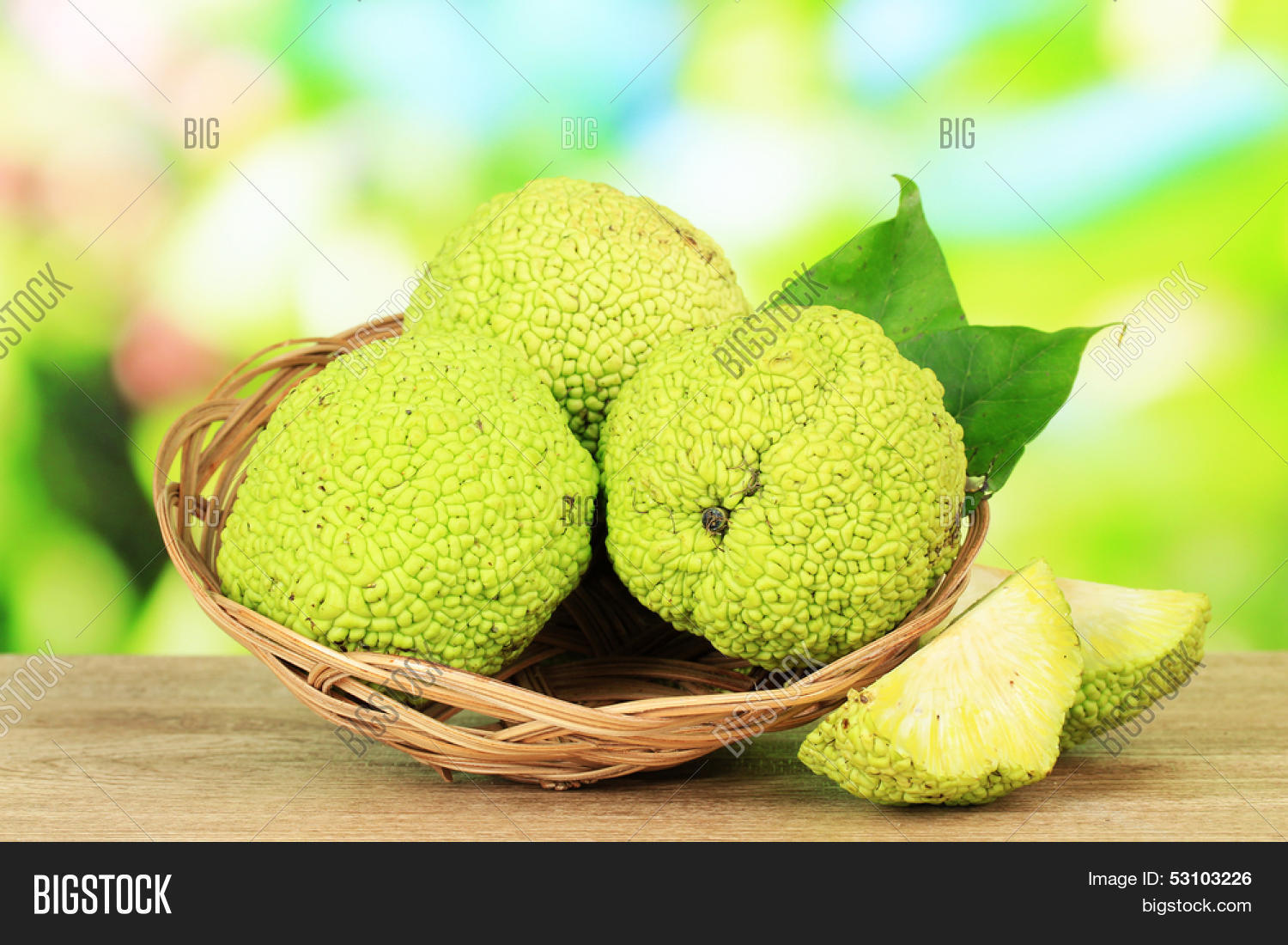 Osage Orange Fruits ( Image & Photo (Free Trial) | Bigstock