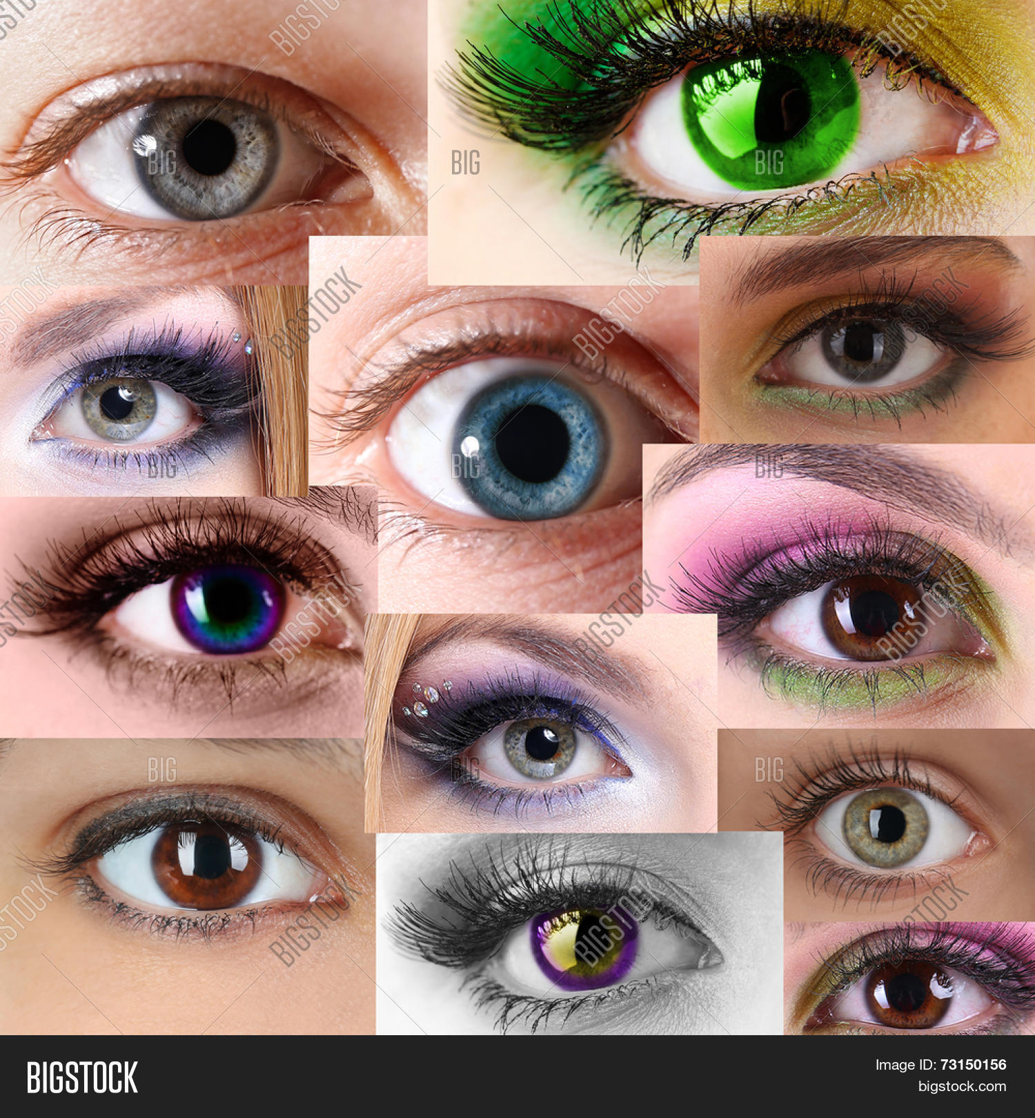 Collage Different Image & Photo (Free Trial) | Bigstock