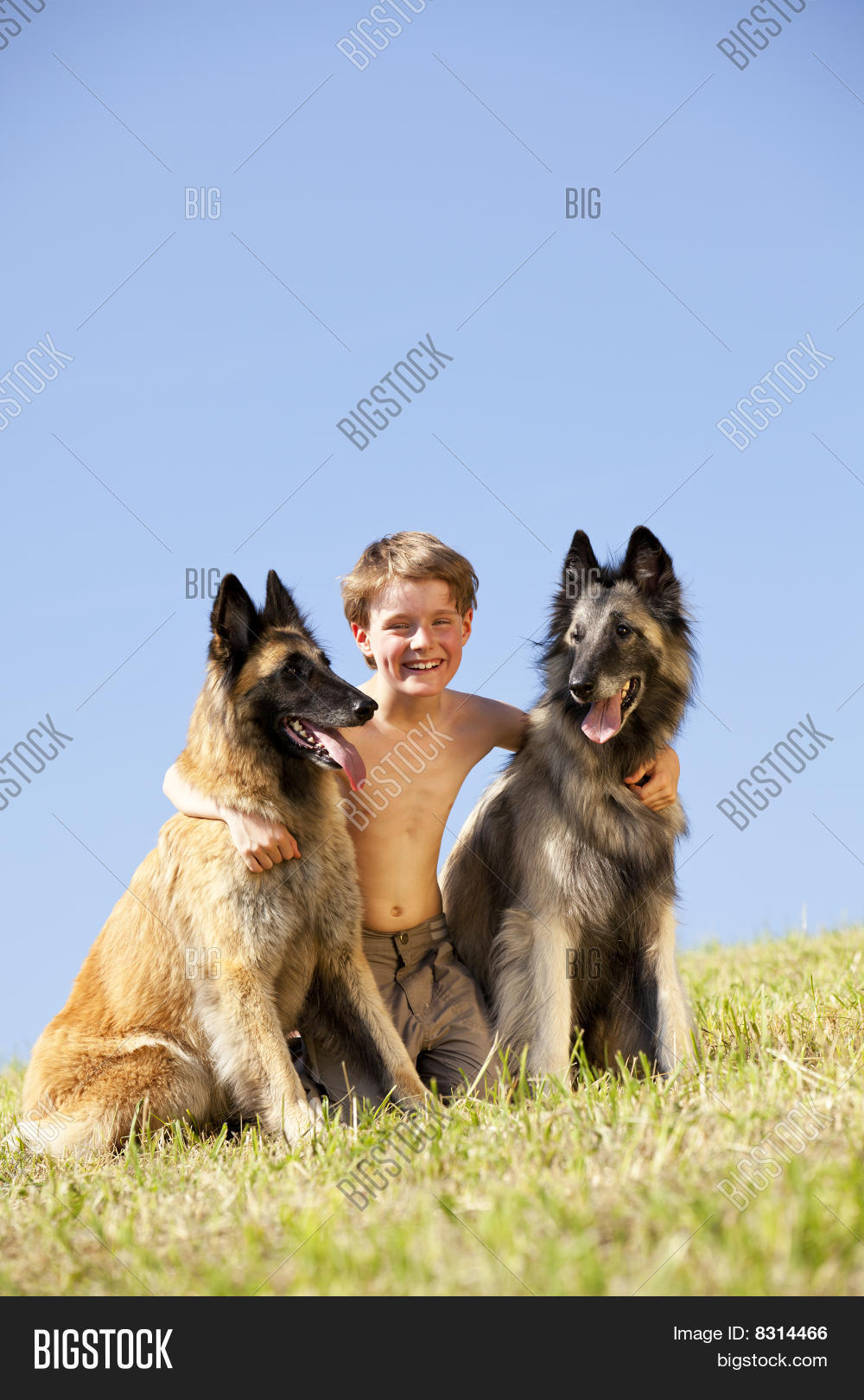 Smiling Boy Two Dogs Image & Photo (Free Trial) | Bigstock