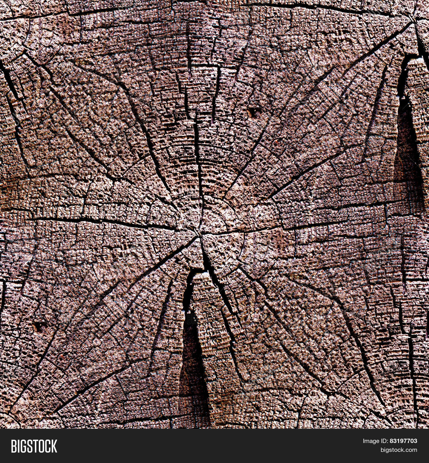 Seamless Texture Image & Photo (Free Trial) | Bigstock