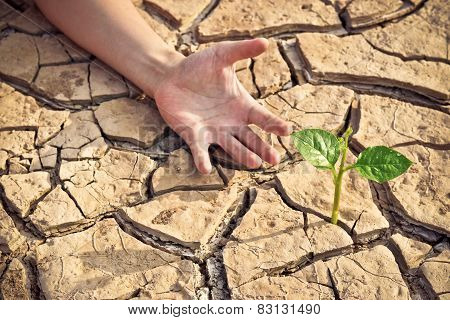Hand Trying Reach Tree Image & Photo (Free Trial) | Bigstock