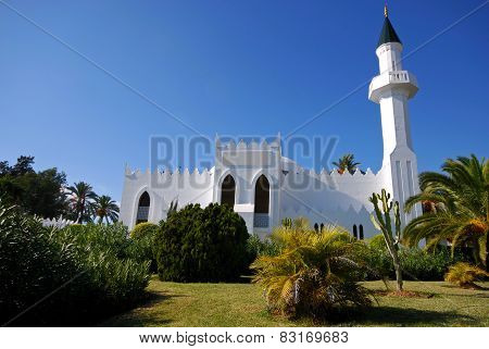 Mosque, Marbella Image & Photo (Free Trial) | Bigstock