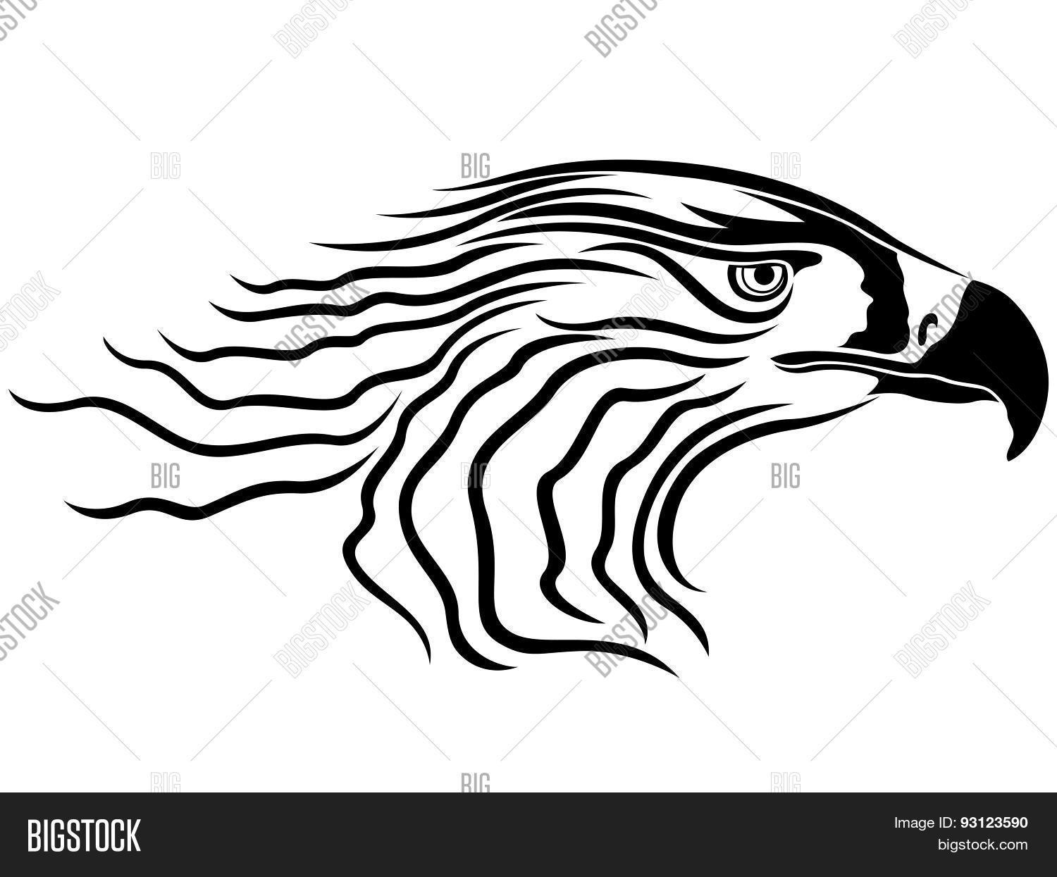 Head Menacing Eagle Vector & Photo (Free Trial) | Bigstock