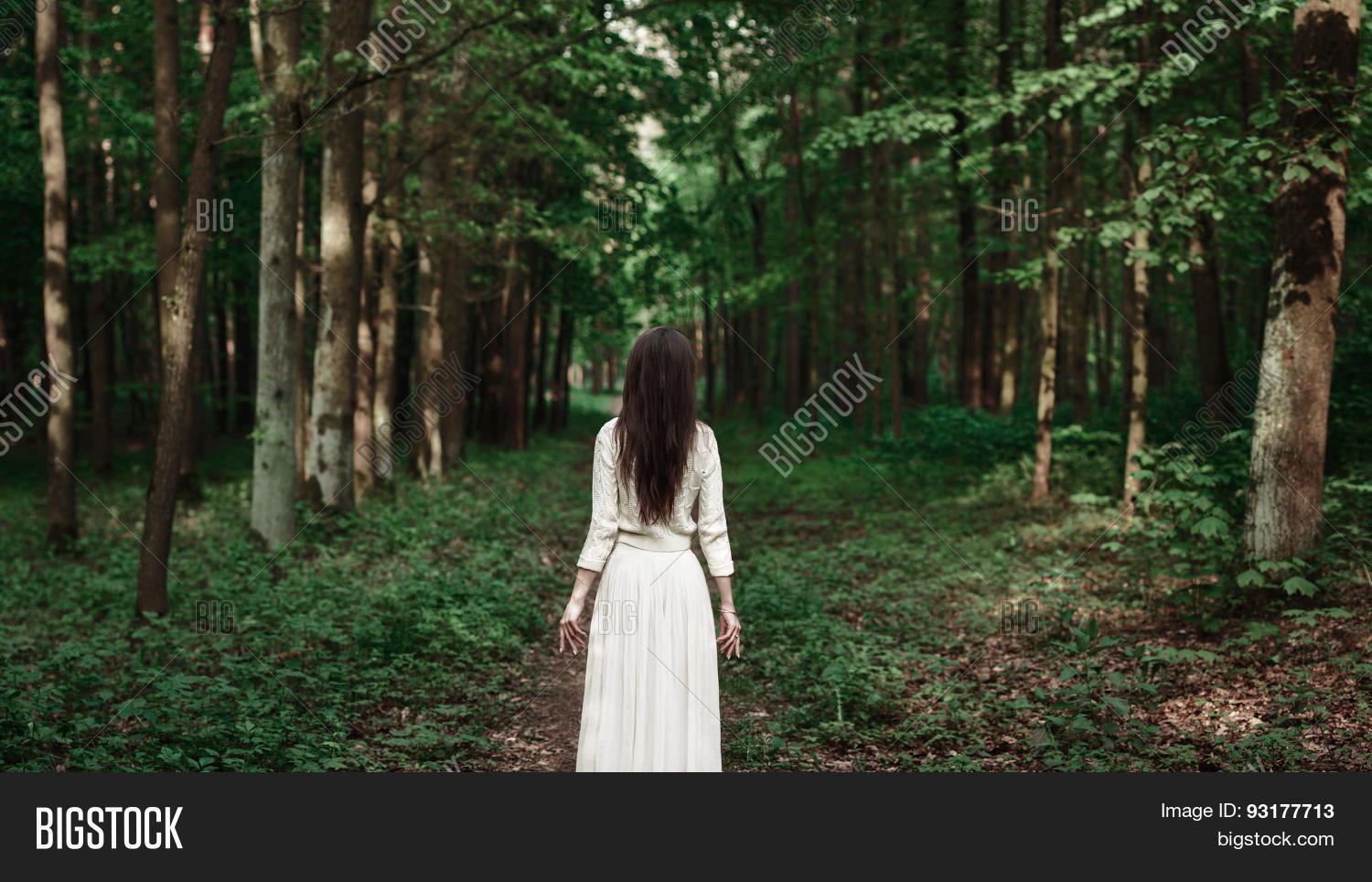 Woman Magic Forest Image & Photo (Free Trial) | Bigstock