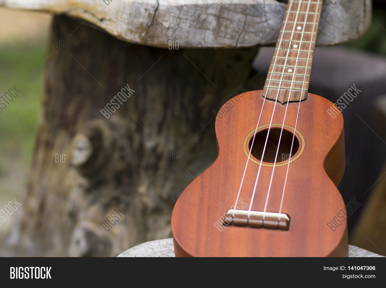 Portrait Ukulele On Image & Photo (Free Trial) | Bigstock