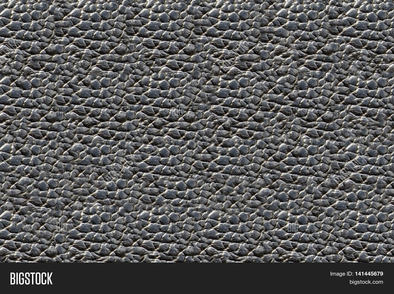 Texture Pig Skin Image & Photo (Free Trial) | Bigstock