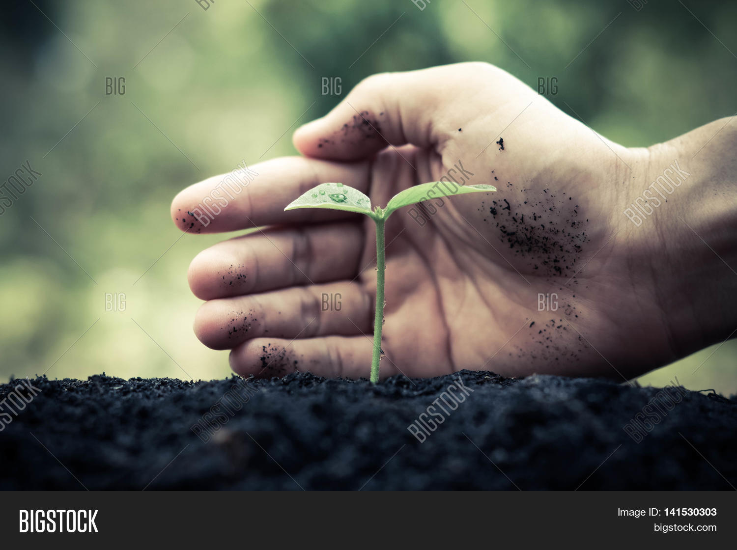 Hands Growing Image & Photo (Free Trial) | Bigstock