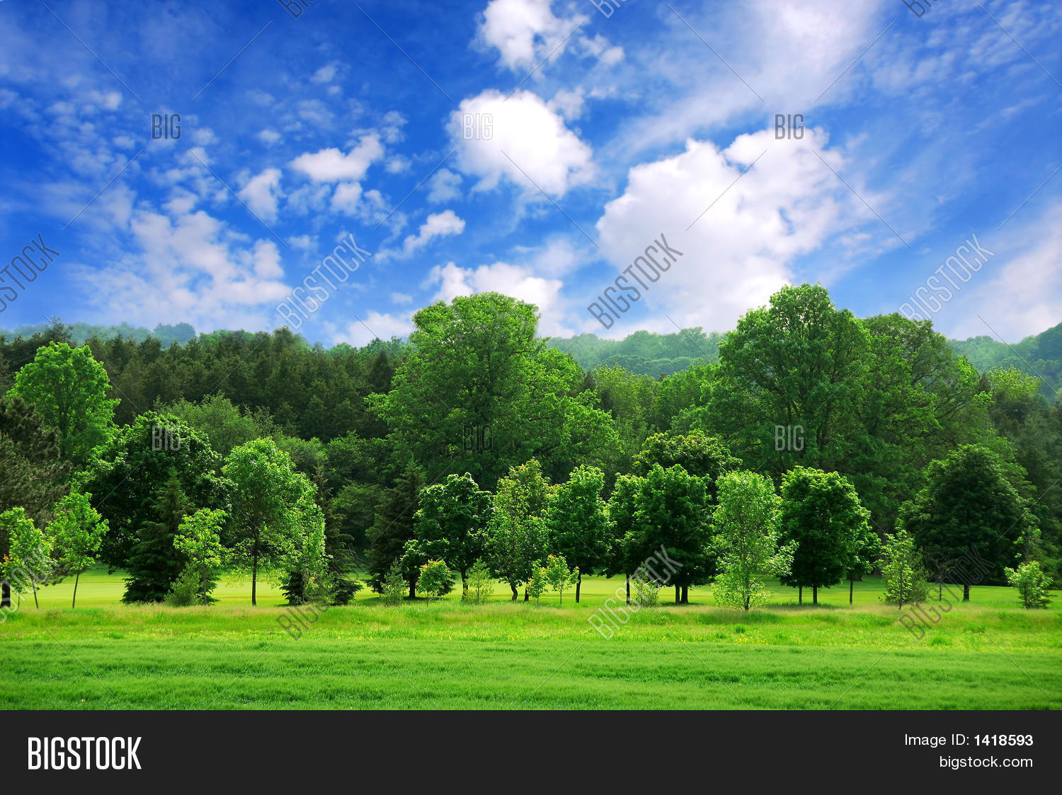 Green Forest Image & Photo (Free Trial) | Bigstock