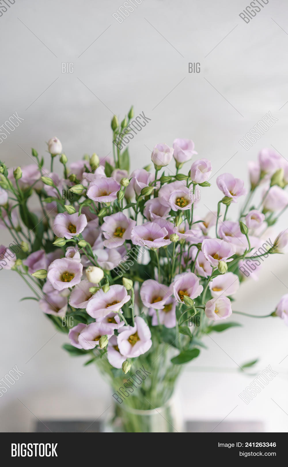 Bunch Lilac Eustoma Image & Photo (Free Trial) | Bigstock
