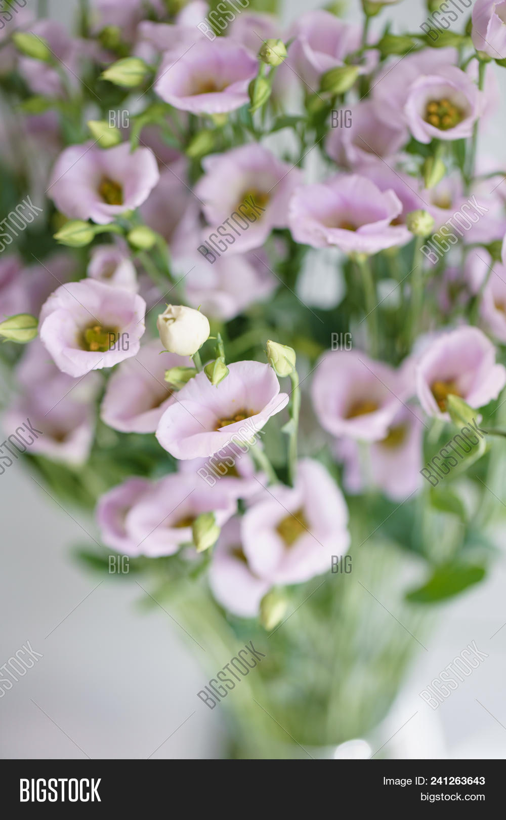 Bunch Lilac Eustoma Image & Photo (Free Trial) | Bigstock