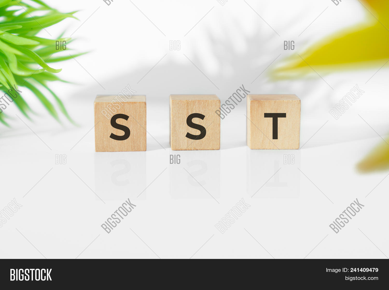 Sst Word On Wood Image & Photo (Free Trial) | Bigstock