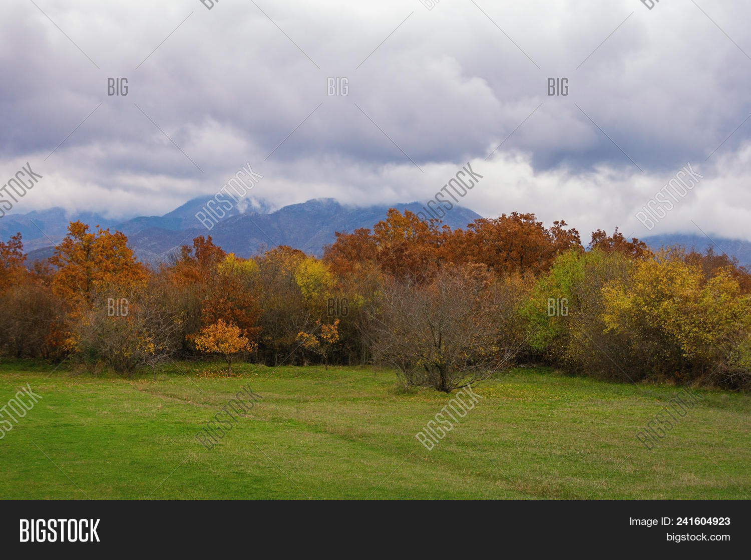 Autumn Cloudy Image & Photo (Free Trial) | Bigstock