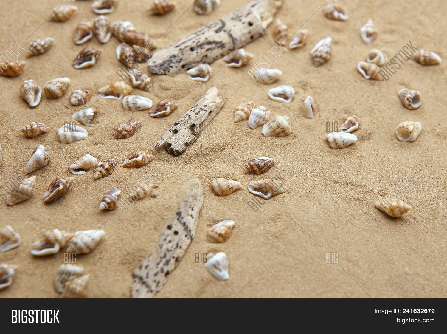 Beach Sand Tiny Sea Image & Photo (Free Trial) | Bigstock