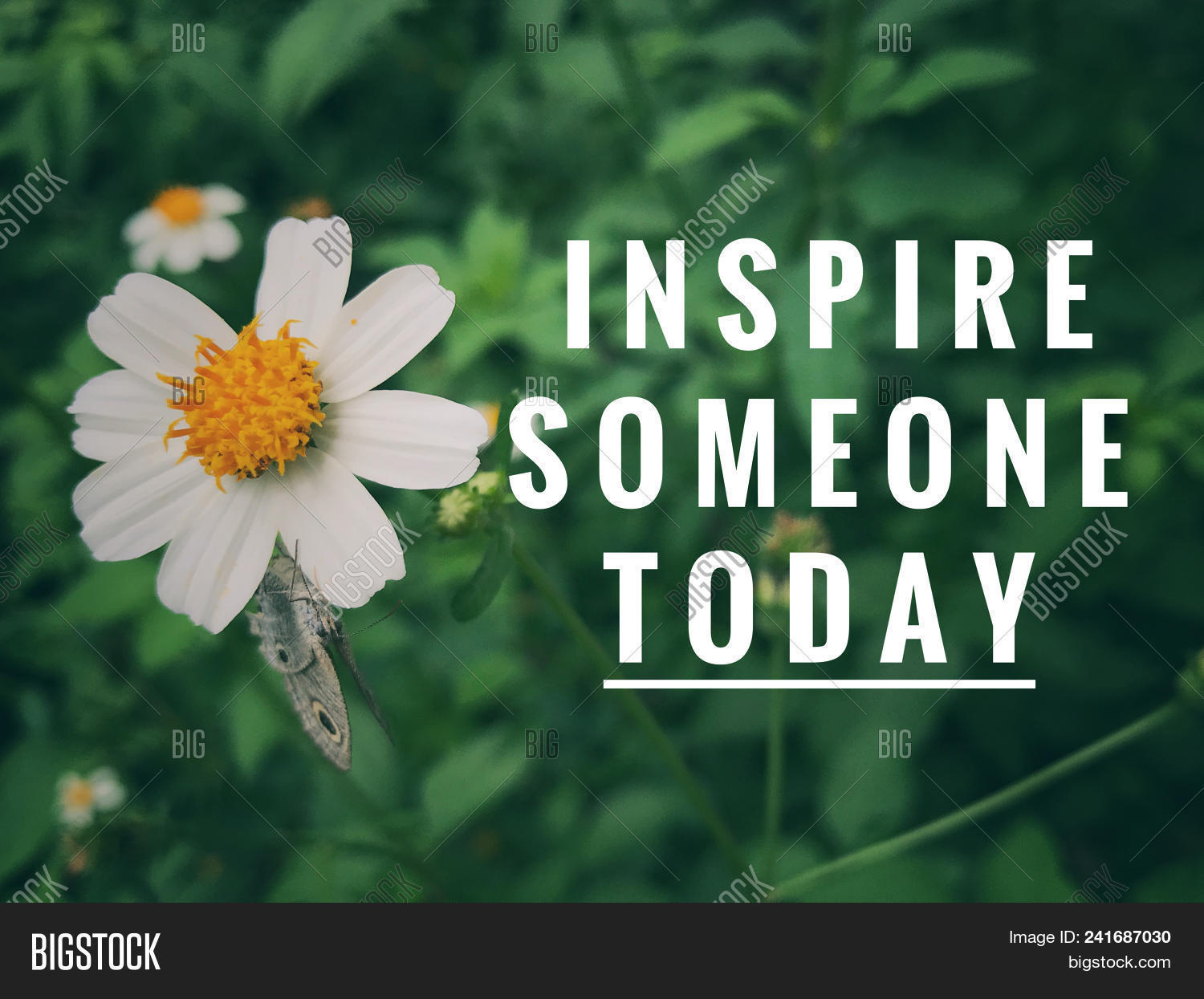 Motivational Image & Photo (Free Trial) | Bigstock
