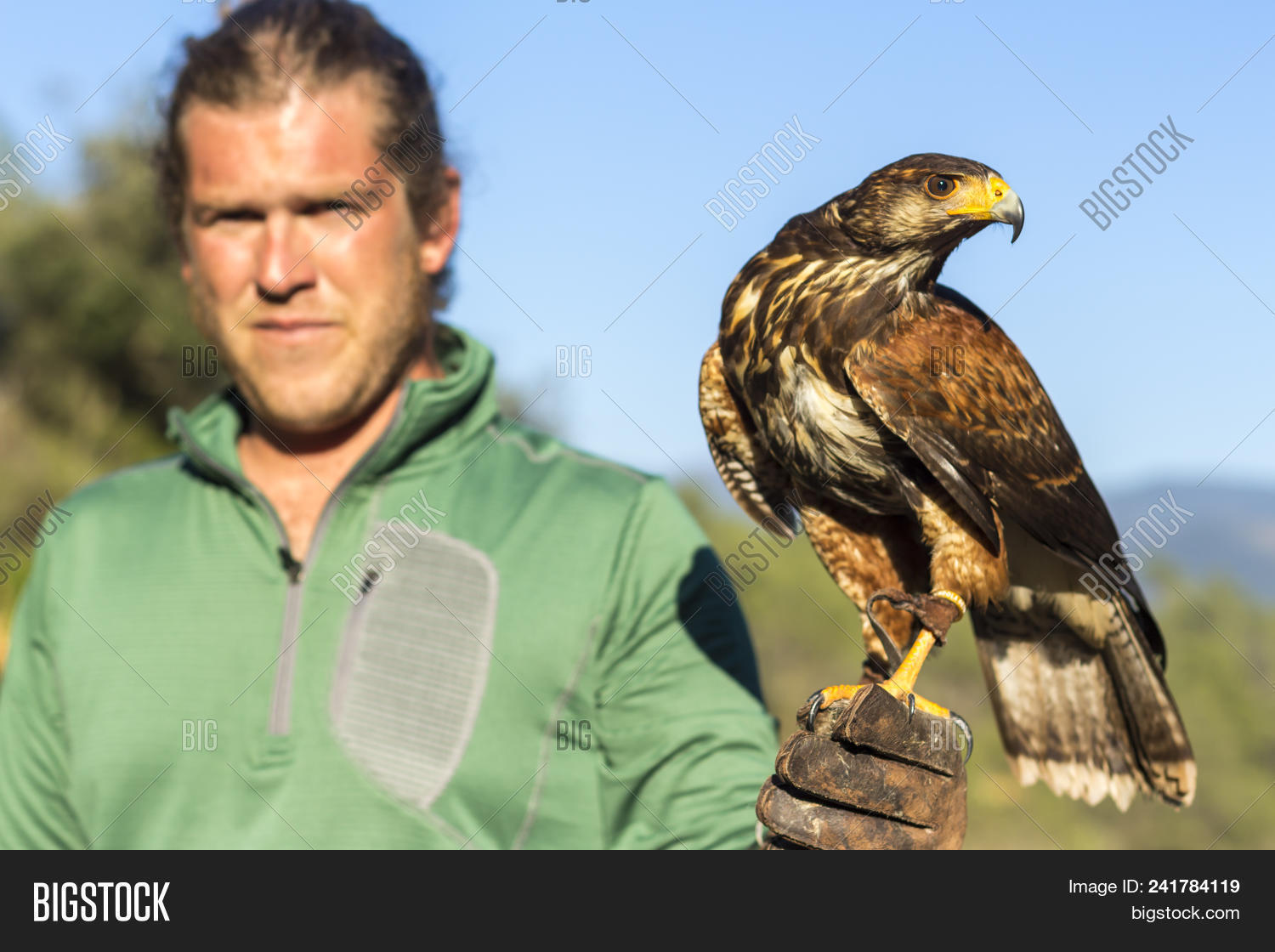 Man Holding Falcon On Image & Photo (Free Trial) | Bigstock