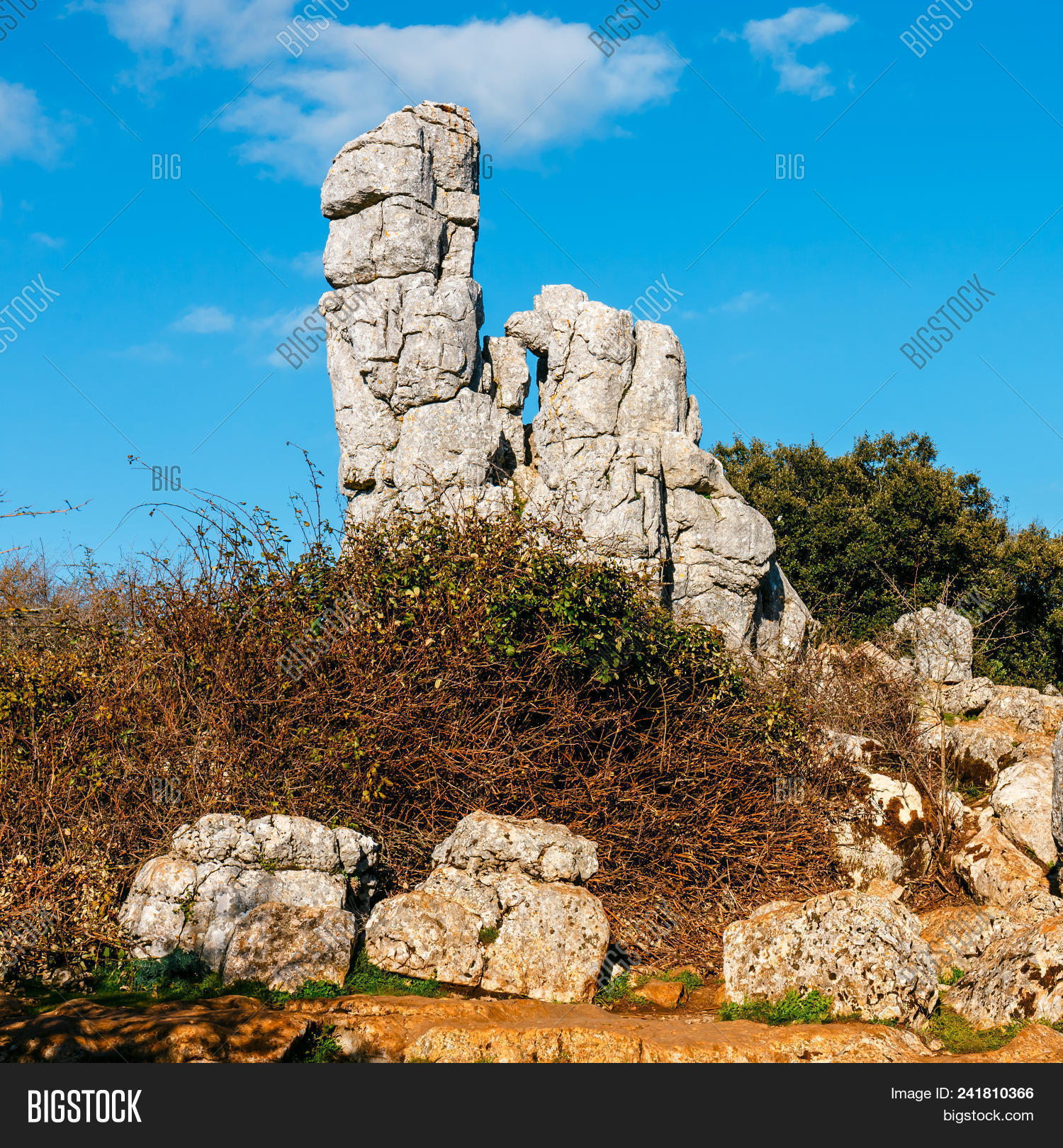 Picturesque Examples Image & Photo (Free Trial) | Bigstock