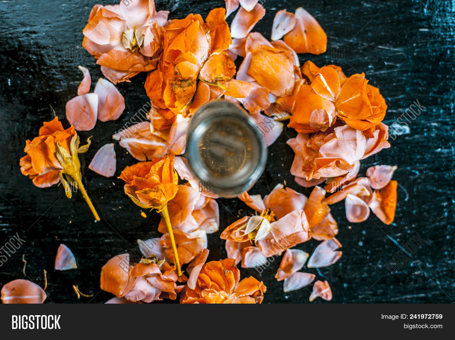 Medicinal Floral Image & Photo (Free Trial) | Bigstock