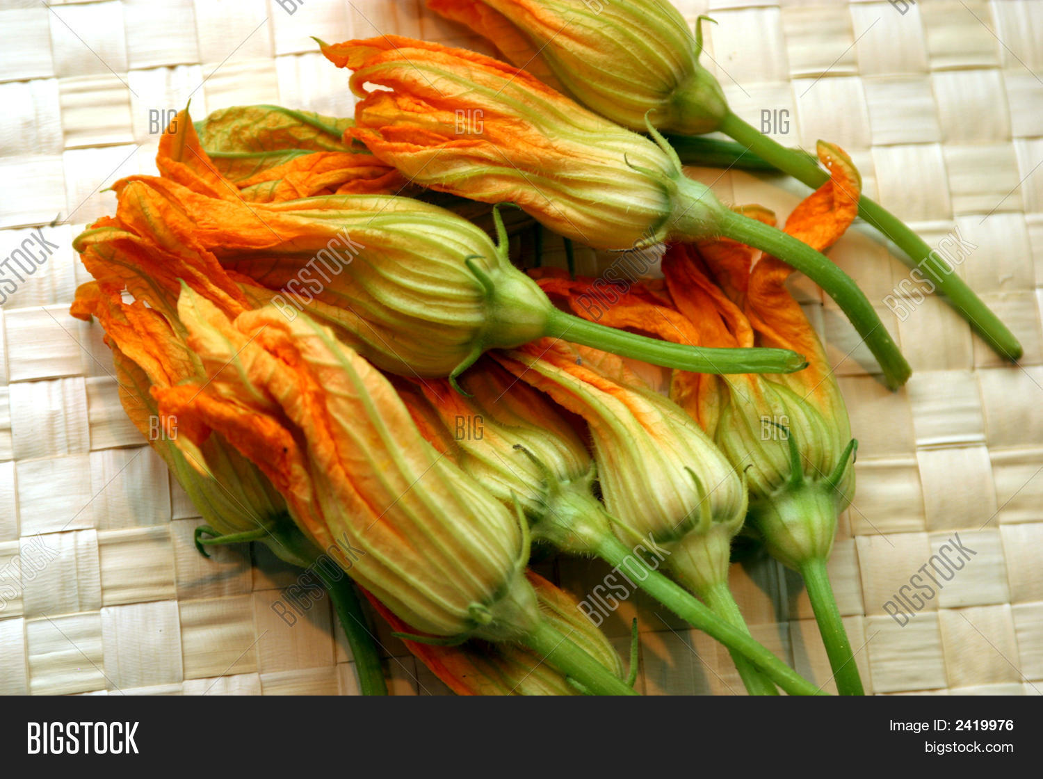 Squash Blossoms Image & Photo (Free Trial) | Bigstock