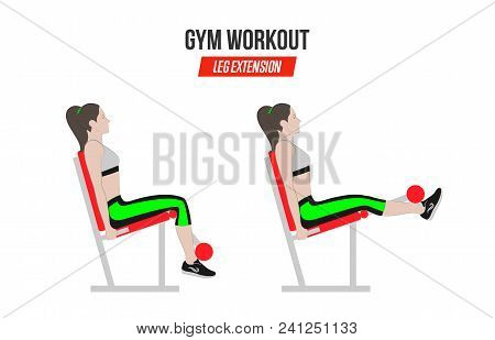 Leg Extension. Leg Vector & Photo (Free Trial) | Bigstock
