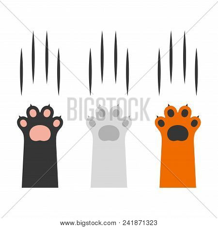 Cat Claw Vector
