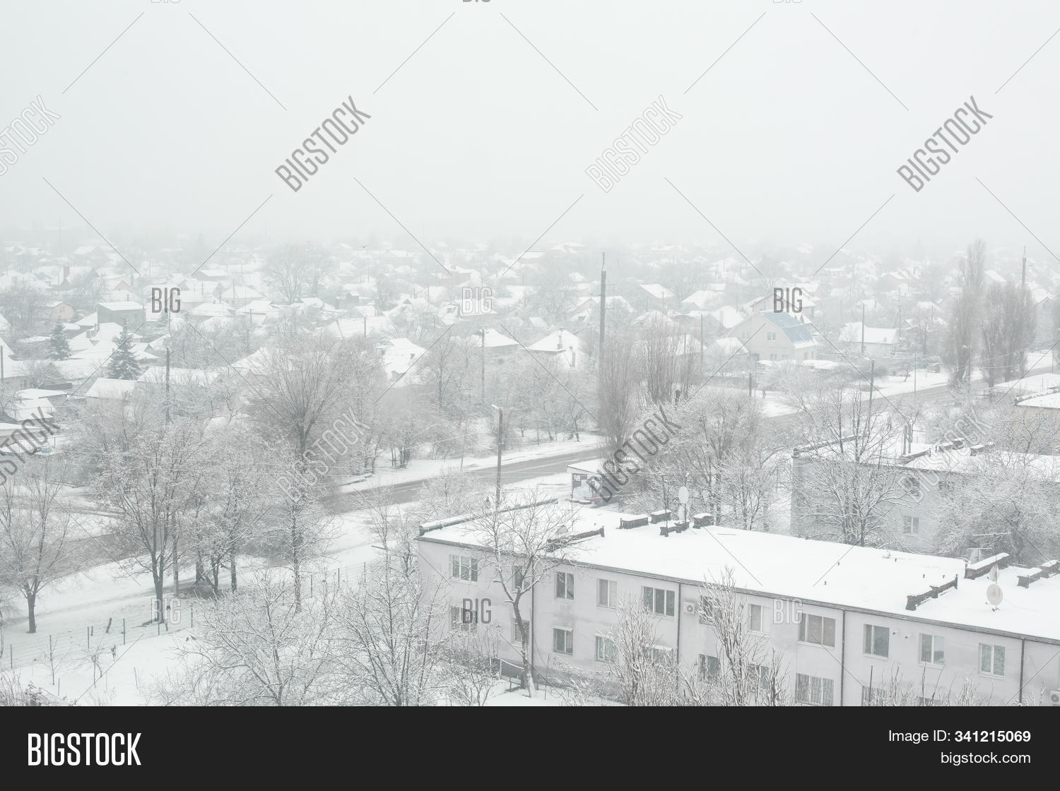 Snow Blizzard Small Image & Photo (Free Trial) | Bigstock