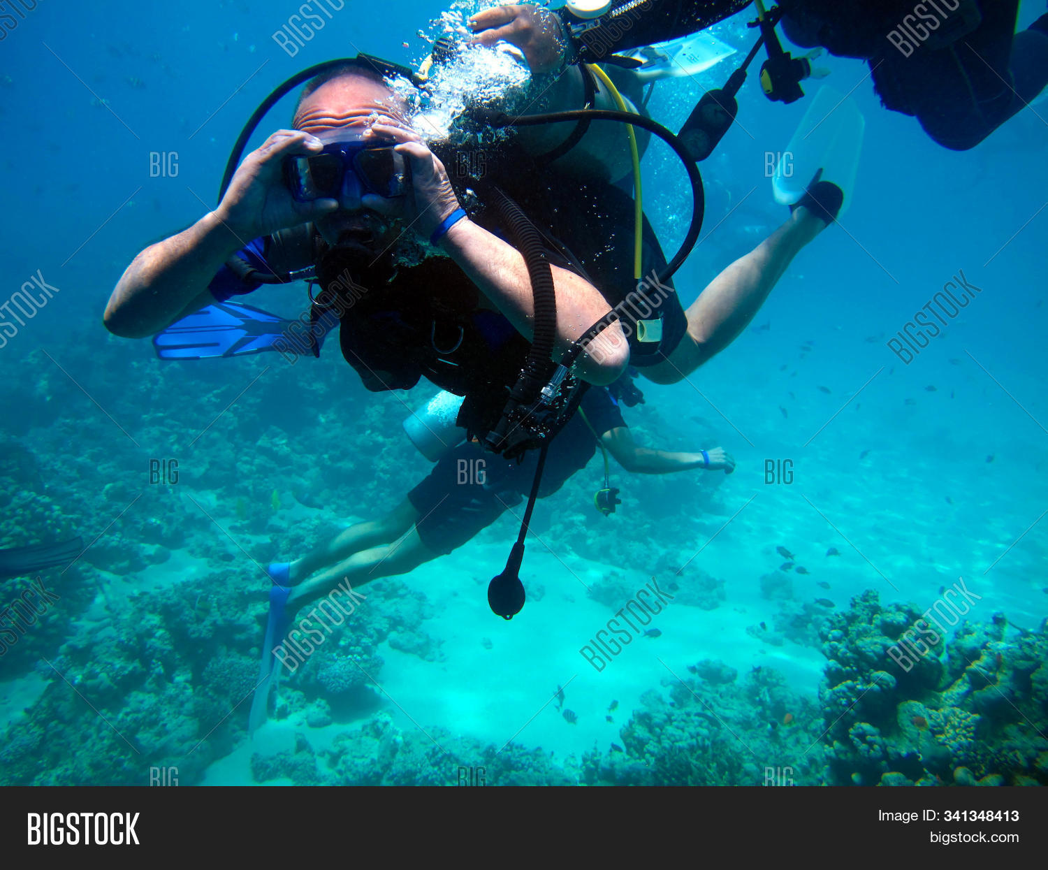 Man Scuba Diver Image & Photo (Free Trial) | Bigstock