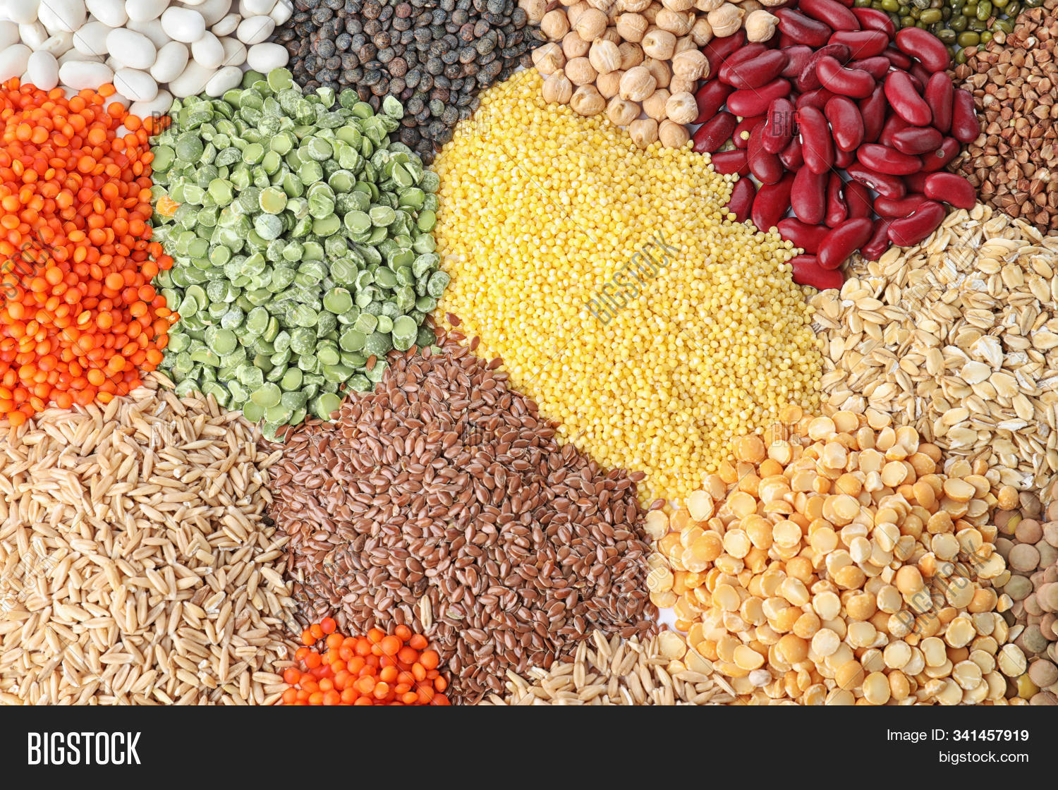 Different Types Image & Photo (Free Trial) | Bigstock